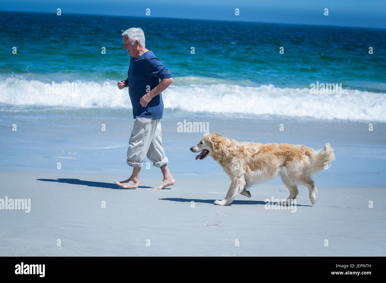 Elderly dog run hi-res stock photography and images - Alamy