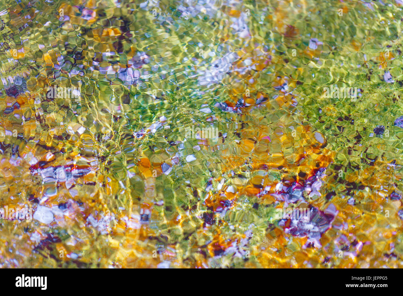 Sunny abstract green nature background, selective focus Stock Photo - Alamy