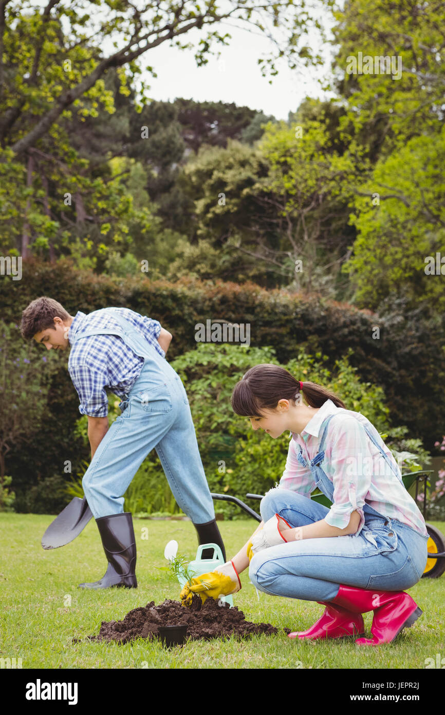 Young woman planting a sapling Stock Photo - Alamy