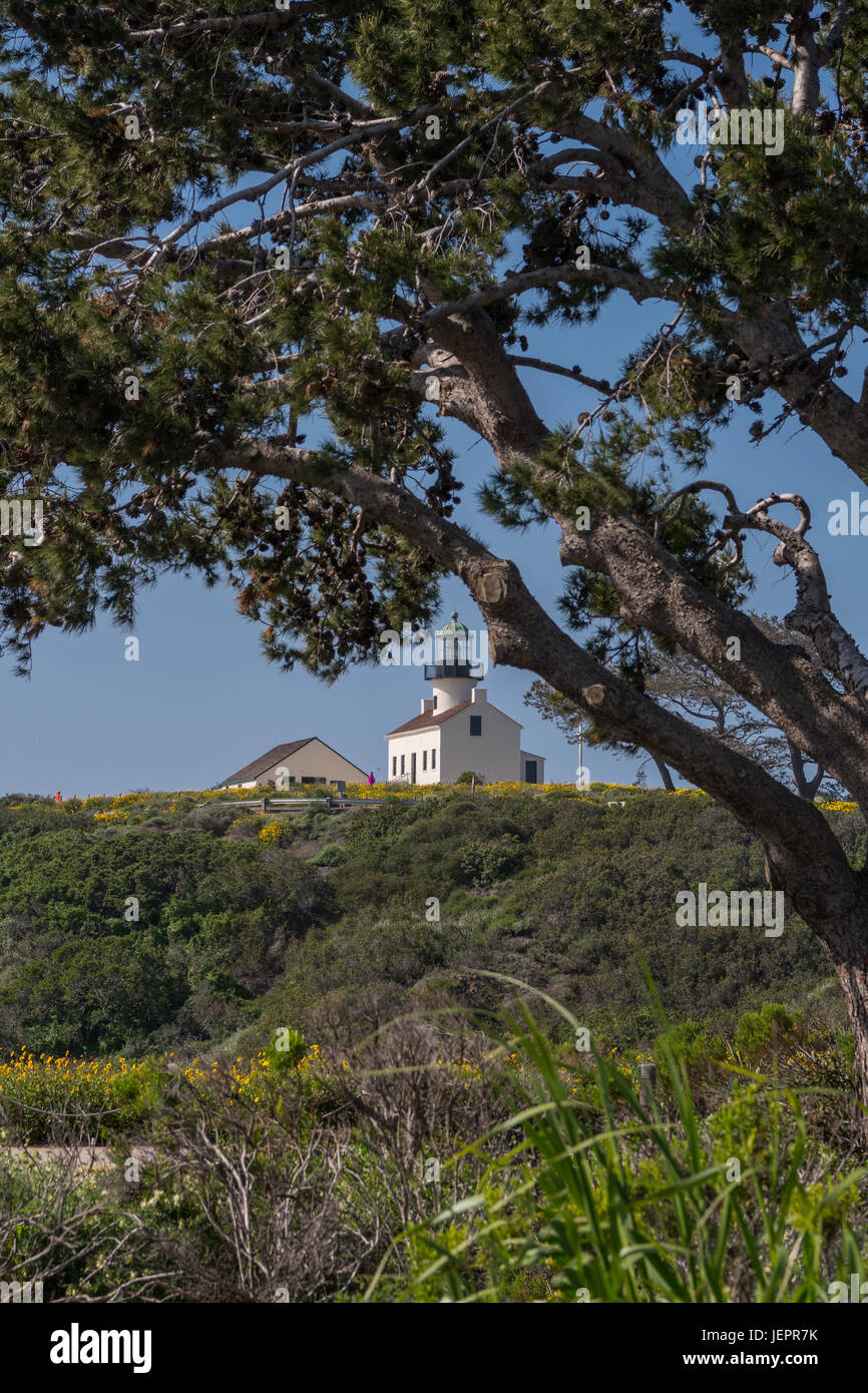 Lighthouse Underneath Tree along Southern California Coast Stock Photo ...