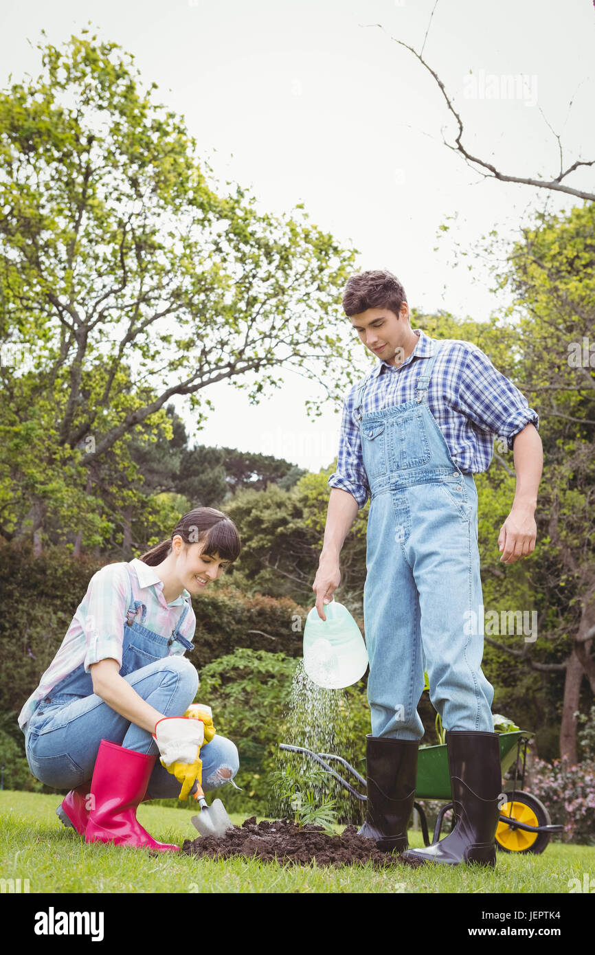 Young couple watering a sapling Stock Photo - Alamy