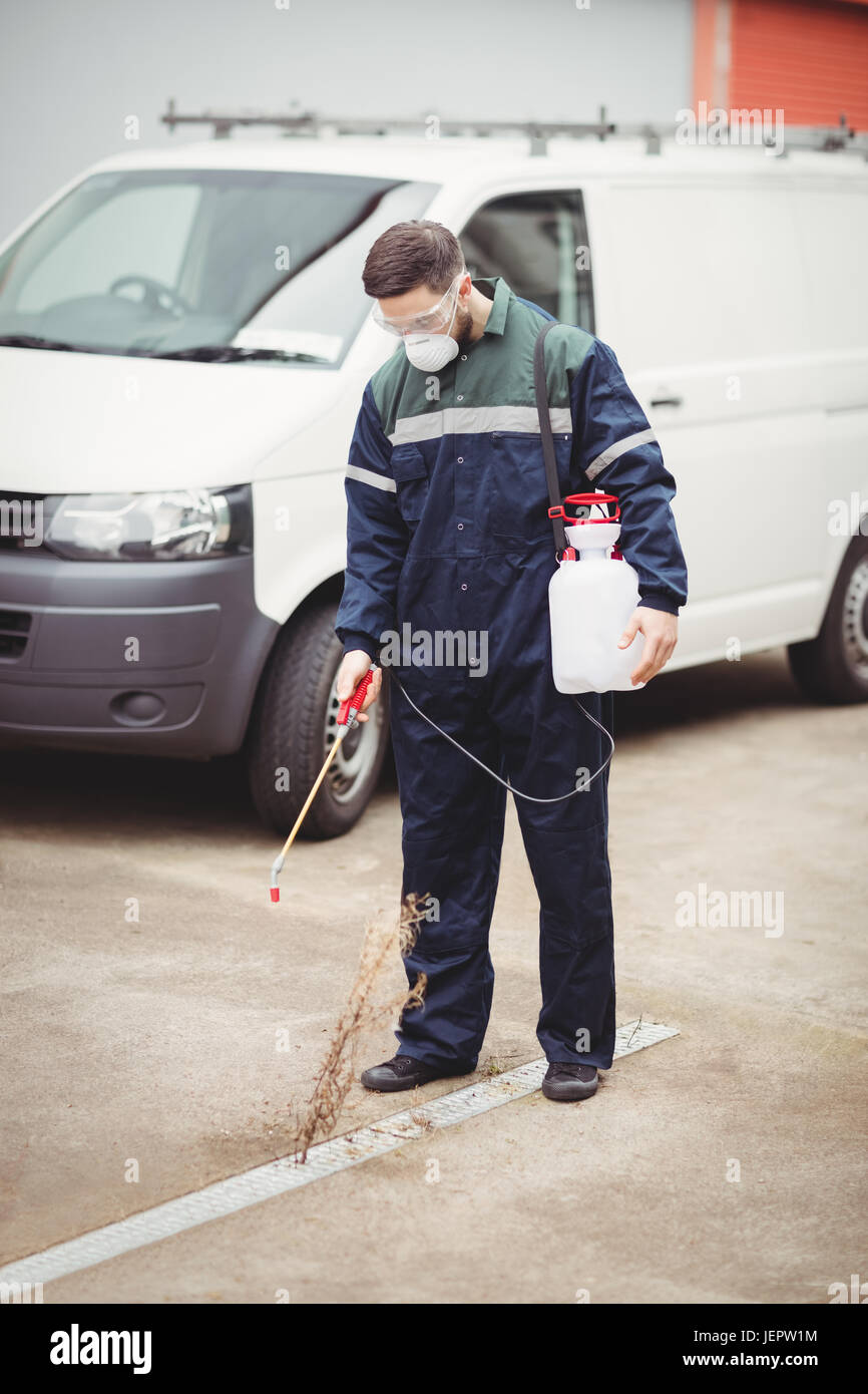 Handyman with insecticide Stock Photo - Alamy