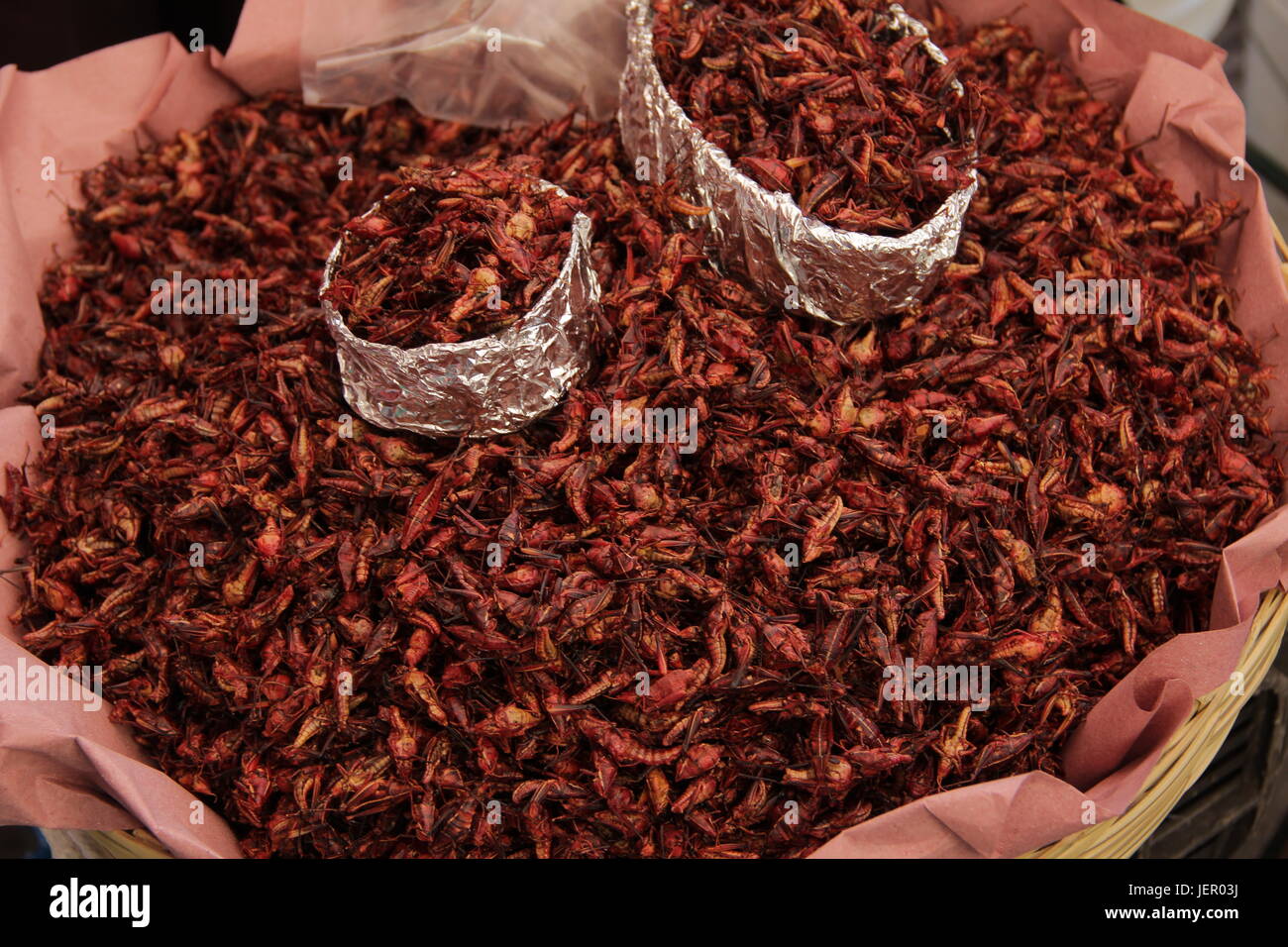 Chapulines. Dried Grasshoppers Stock Photo - Alamy