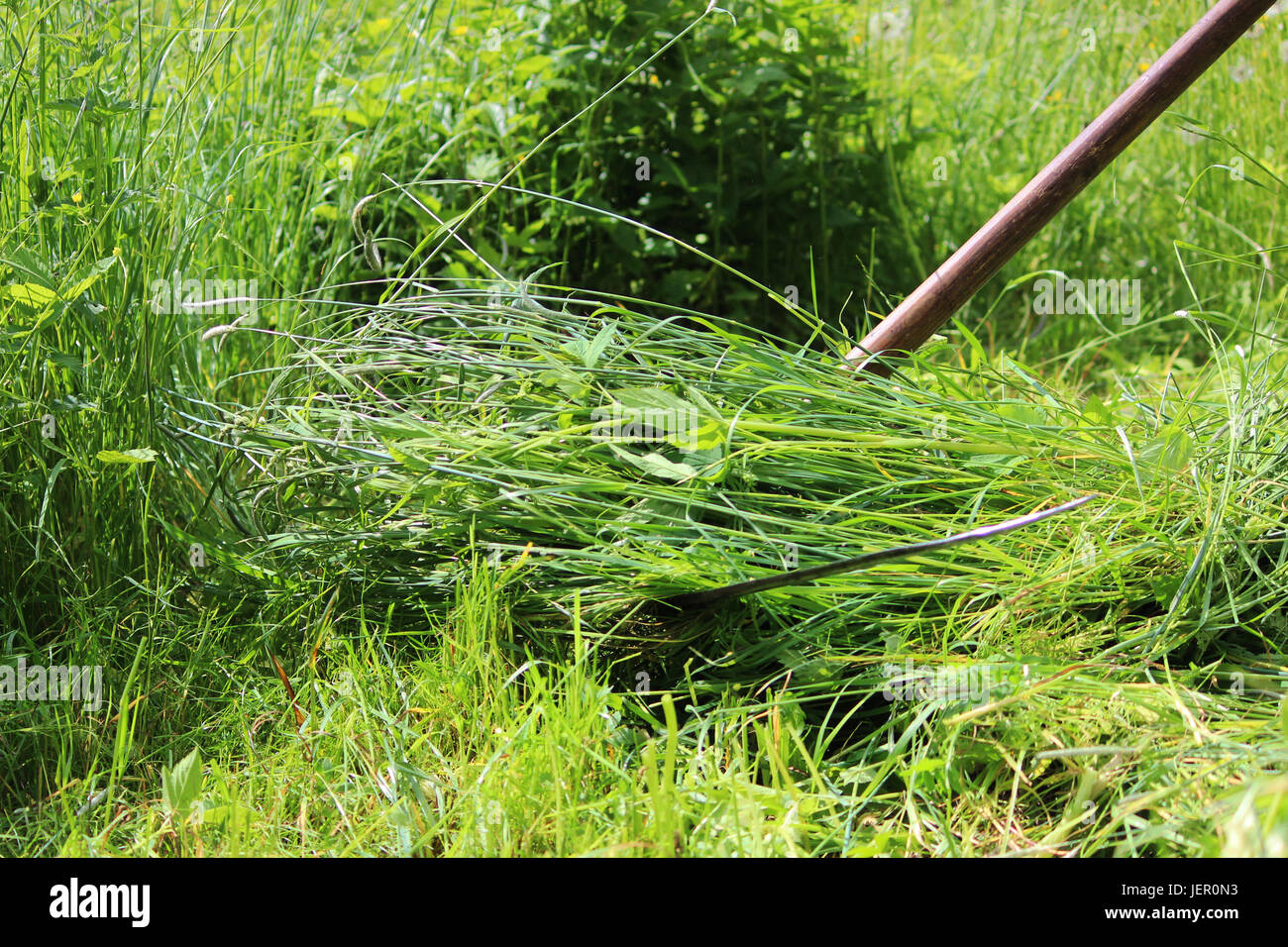 The worker mows the grass with a scythe. Russia Stock Photo - Alamy