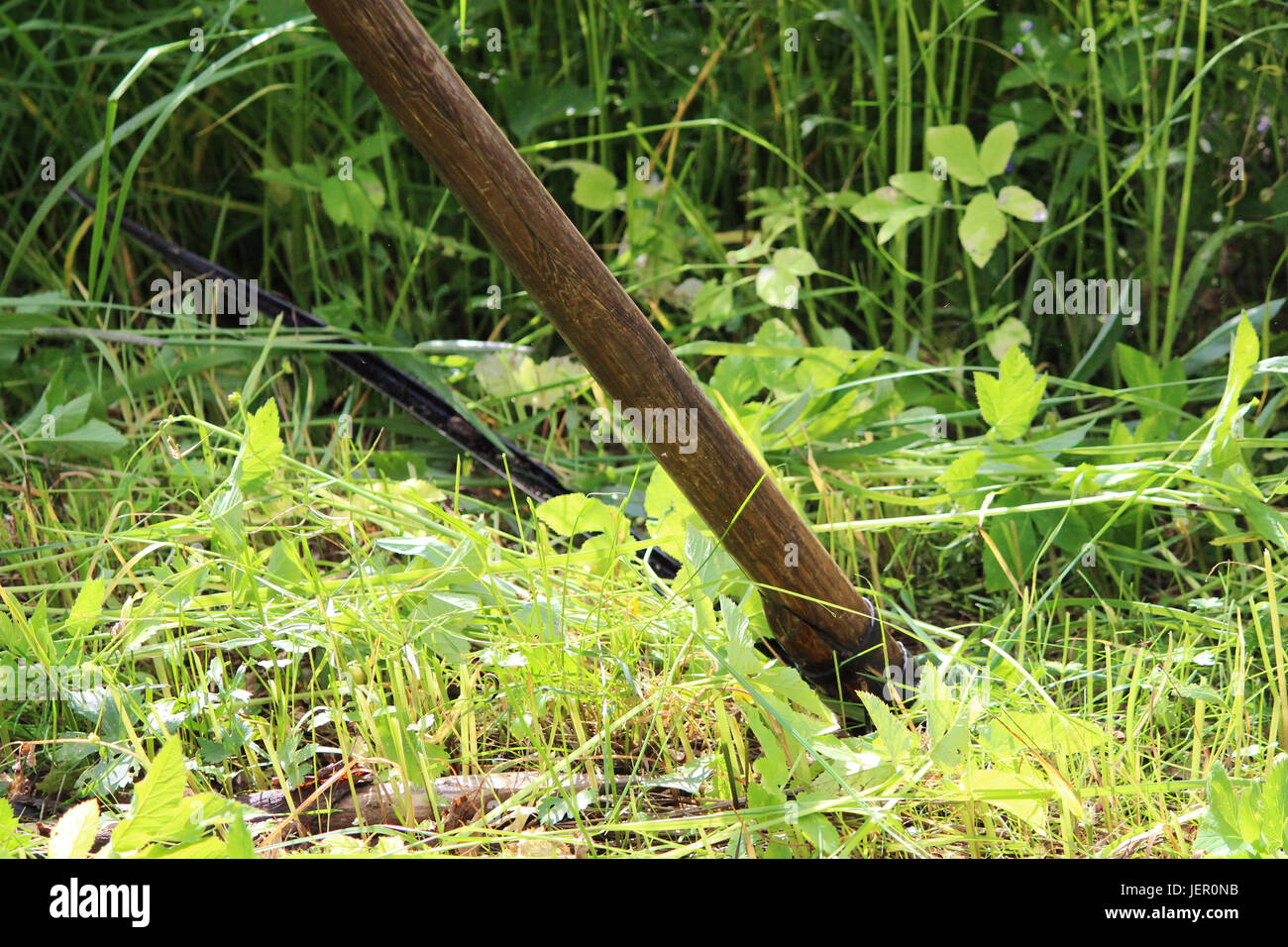 The worker mows the grass with a scythe. Russia Stock Photo - Alamy
