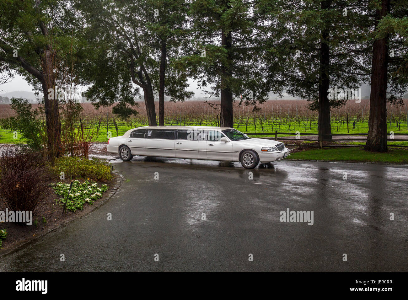 Stretch Limo Stock Photos & Stretch Limo Stock Images - Alamy