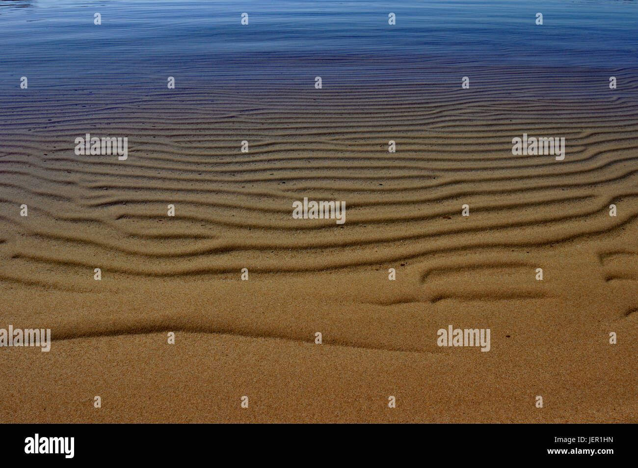Clear pattern hi-res stock photography and images - Alamy