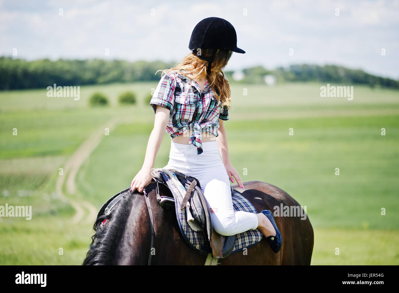 Young pretty girl riding a horse on a field at sunny day Stock Photo ...