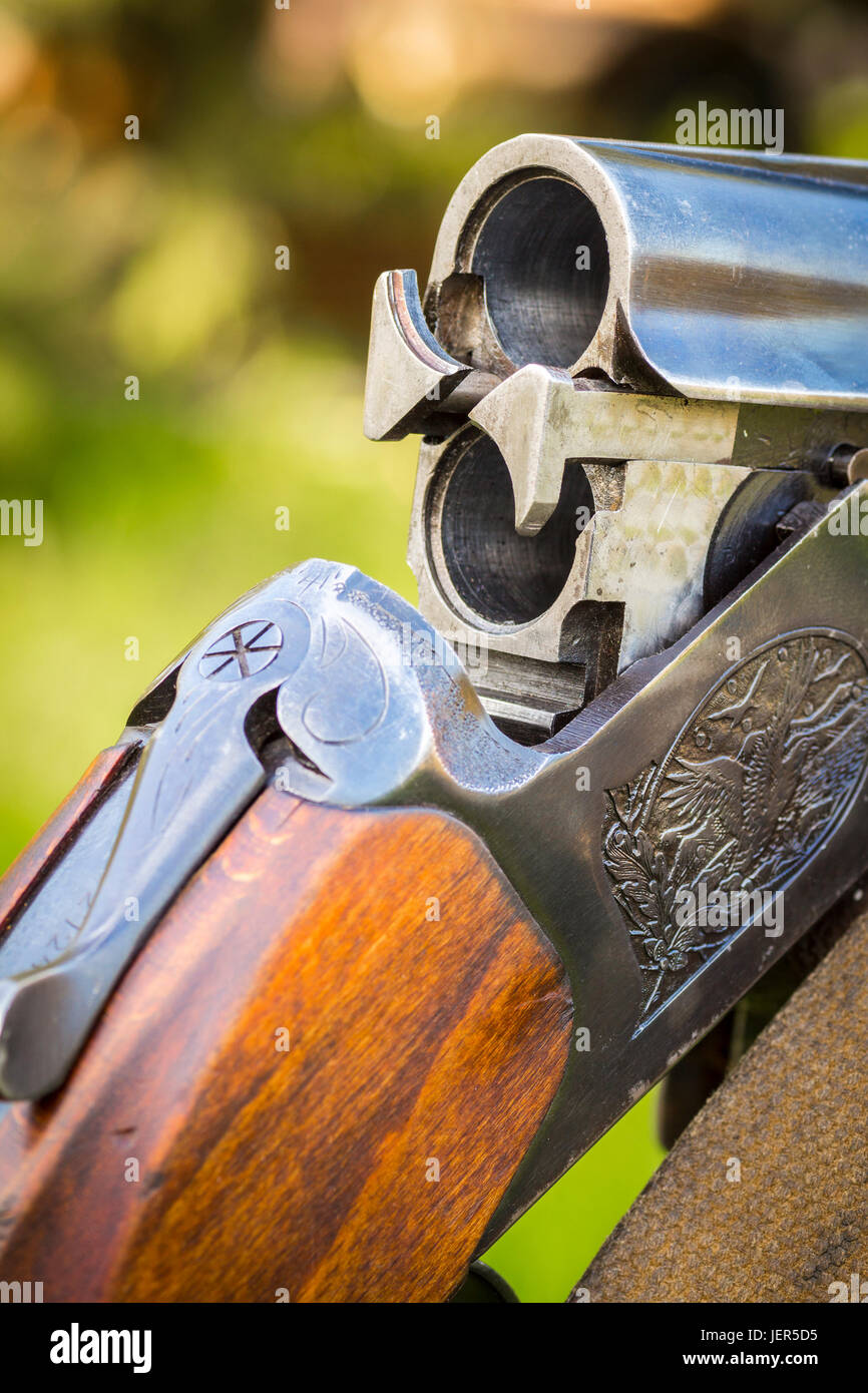Shutter hunting rifle close-up on a background of nature Stock Photo ...