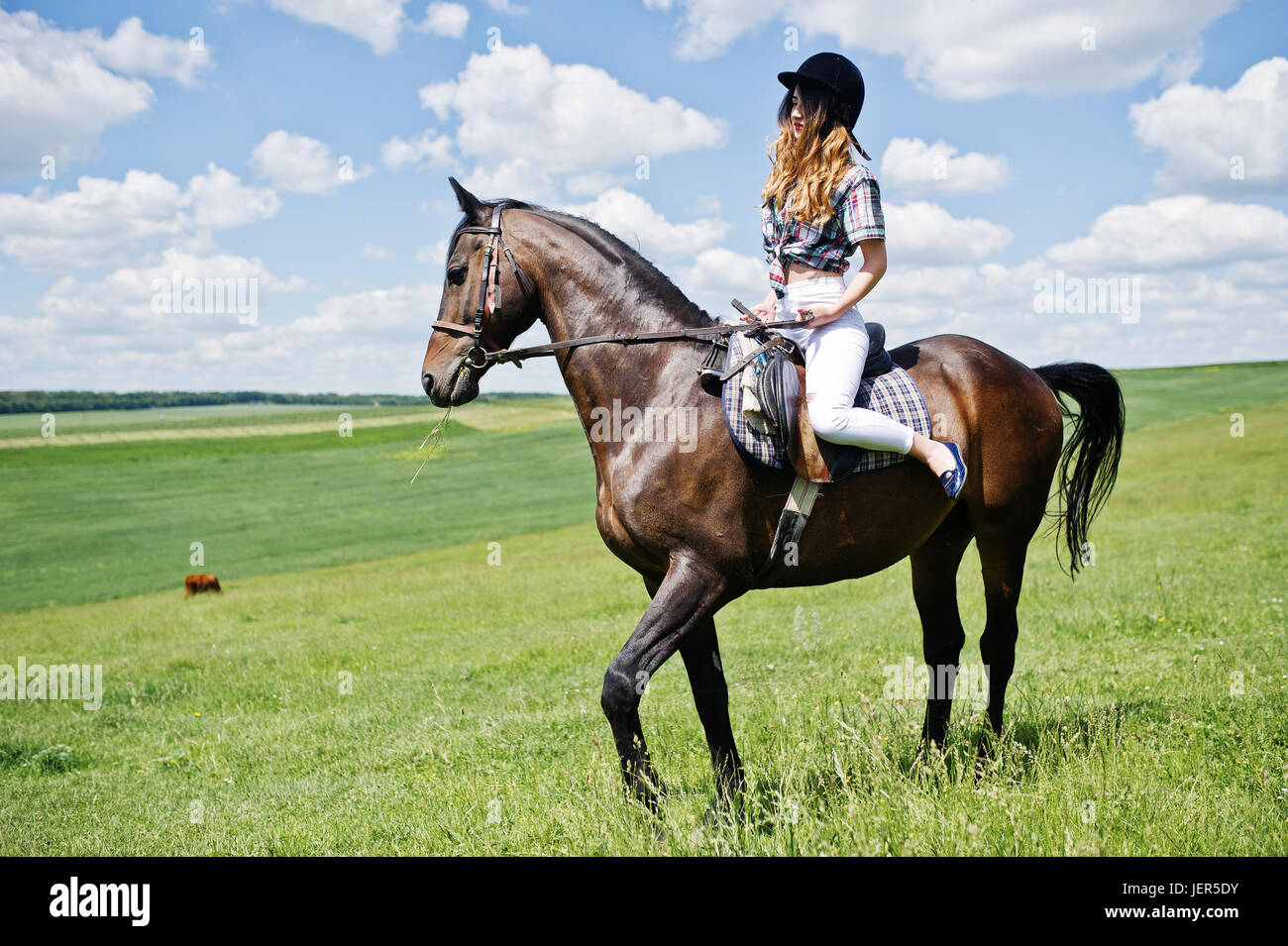 Young pretty girl riding a horse on a field at sunny day Stock Photo ...