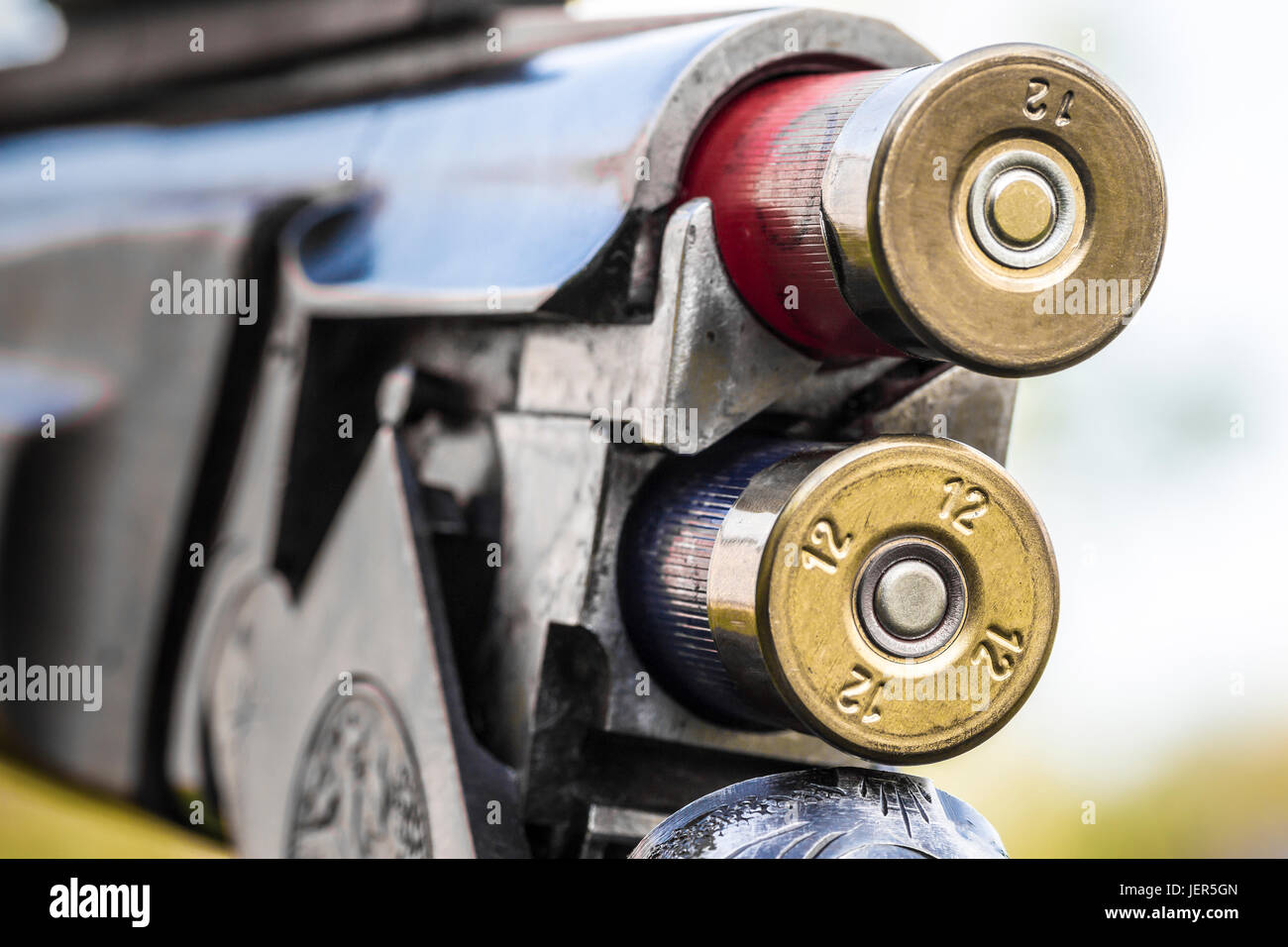 Shutter hunting rifle close-up on a background of nature Stock Photo ...
