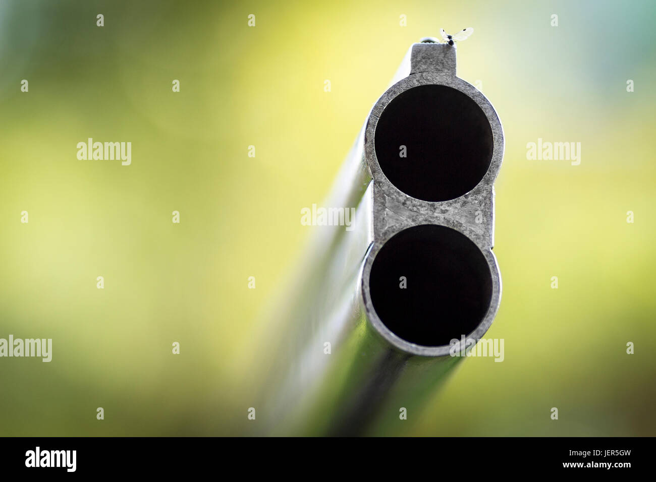 The barrel of gun close up on a green background of nature Stock Photo ...