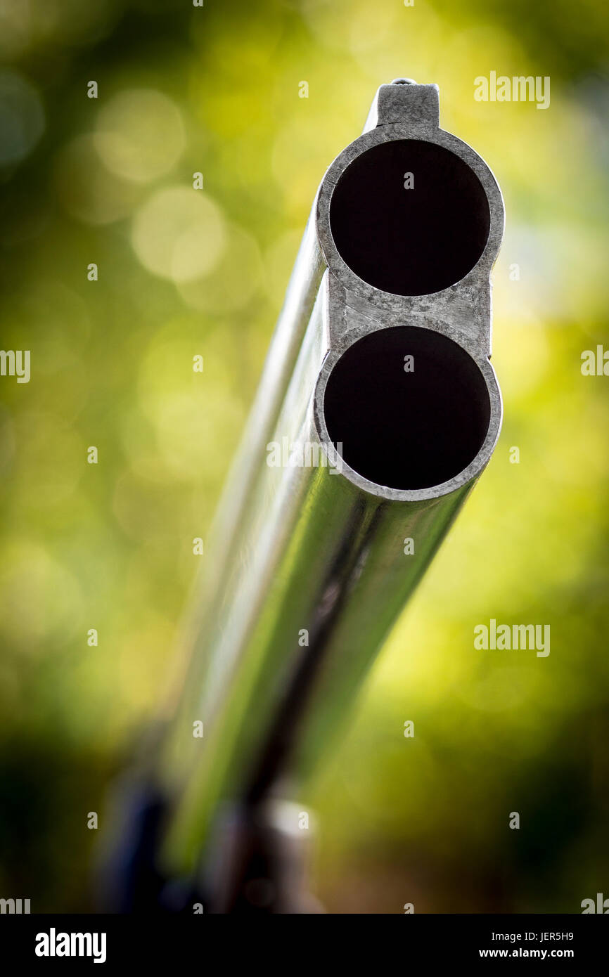 The barrel of gun close up on a green background of nature Stock Photo ...
