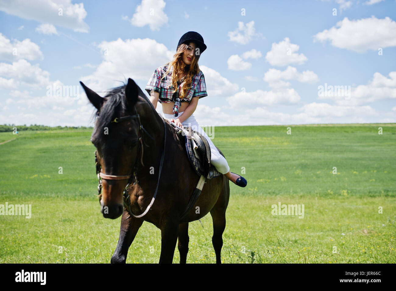 Young pretty girl riding a horse on a field at sunny day Stock Photo ...