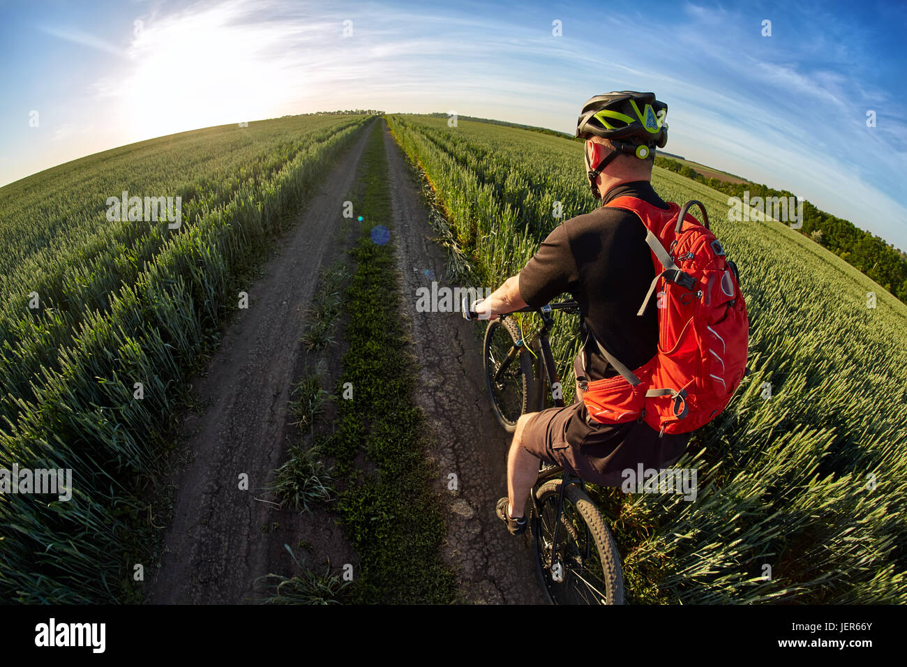 Rear view and close-up of the cyclist riding mountain bike on the ...