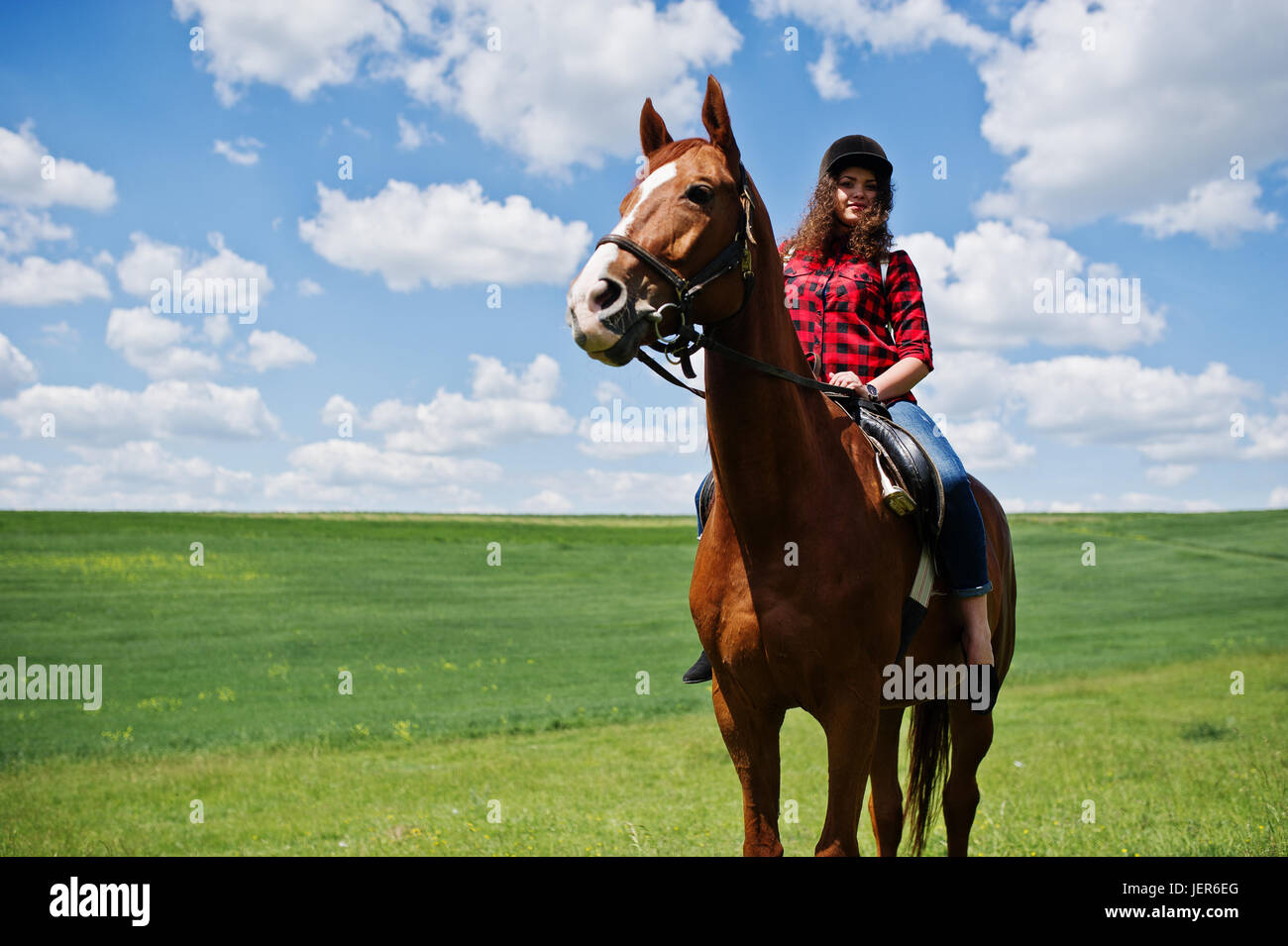 Young pretty girl riding a horse on a field at sunny day Stock Photo ...