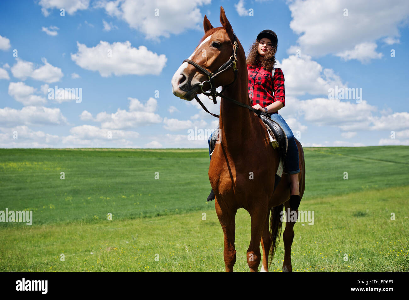 Young pretty girl riding a horse on a field at sunny day Stock Photo ...