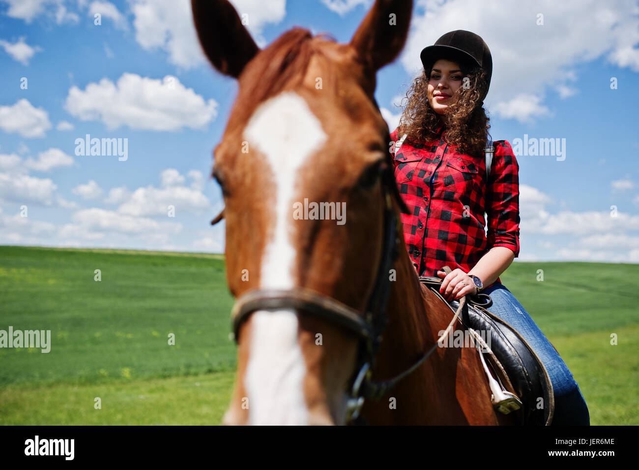 Young pretty girl riding a horse on a field at sunny day Stock Photo ...