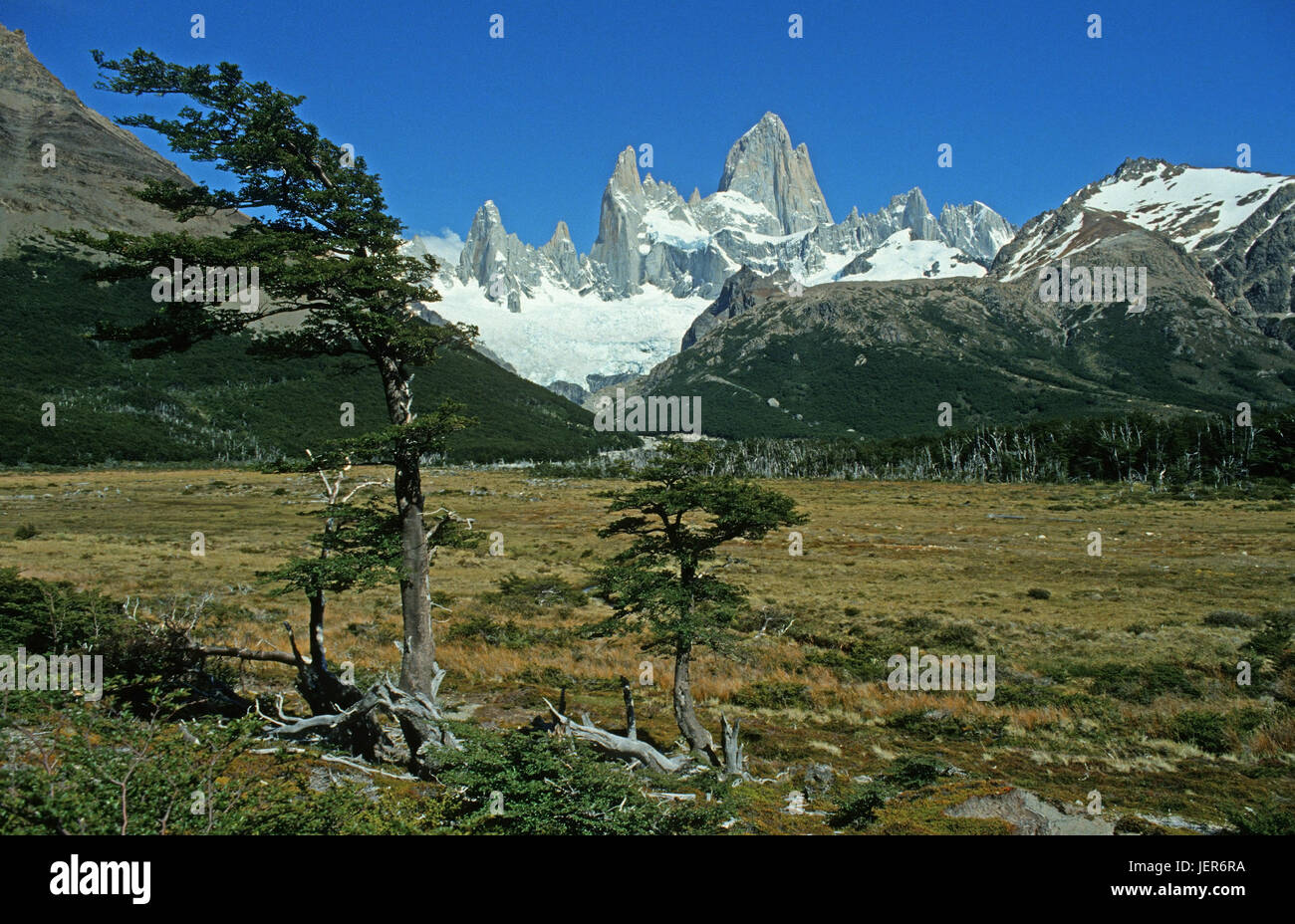 The summit of the Fitz Roy, Patagonia, Argentina, Der Gipfel des Fitz ...