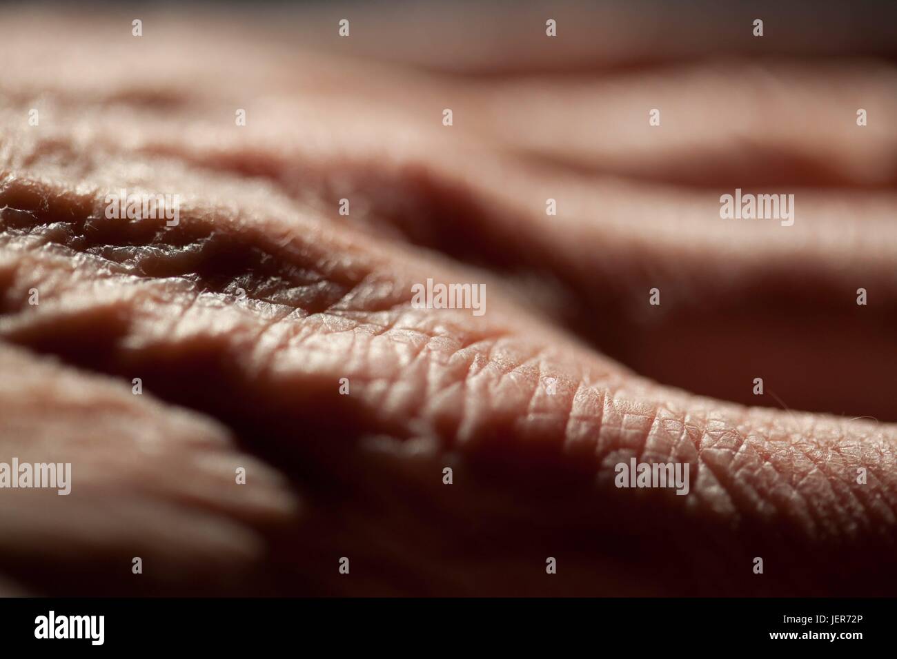 Close-up of hand, finger, skin - Symbolic | usage worldwide Stock Photo ...