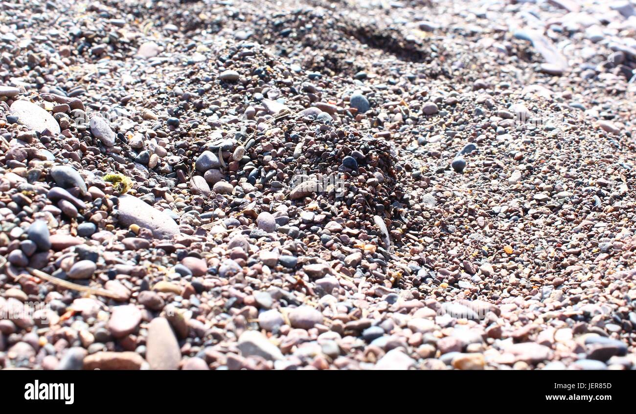 Just some cute and fun pebbles on the side of a beach! Very bright with ...