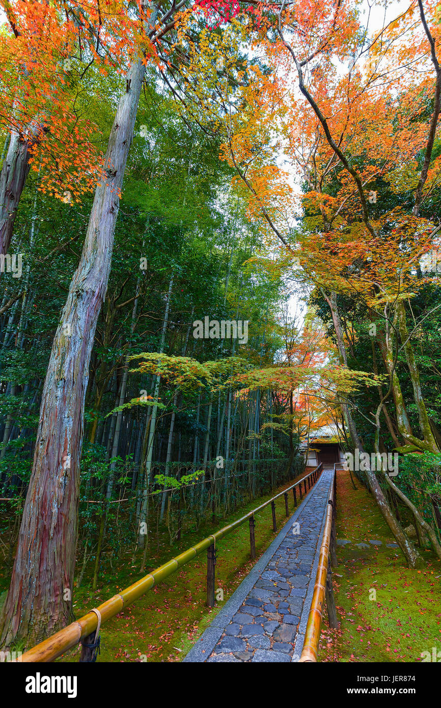 Kotoin temple hi-res stock photography and images - Alamy