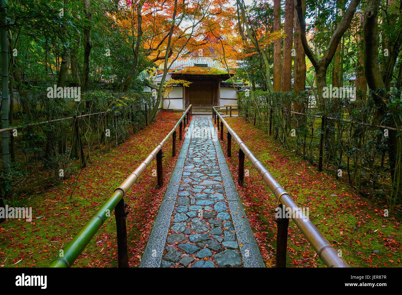 Colorful Autumn at Koto-in Temple in Kyoto Stock Photo - Alamy