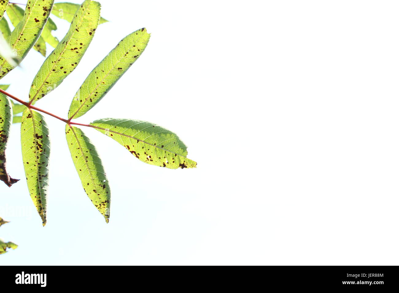 Restfullness hi-res stock photography and images - Alamy