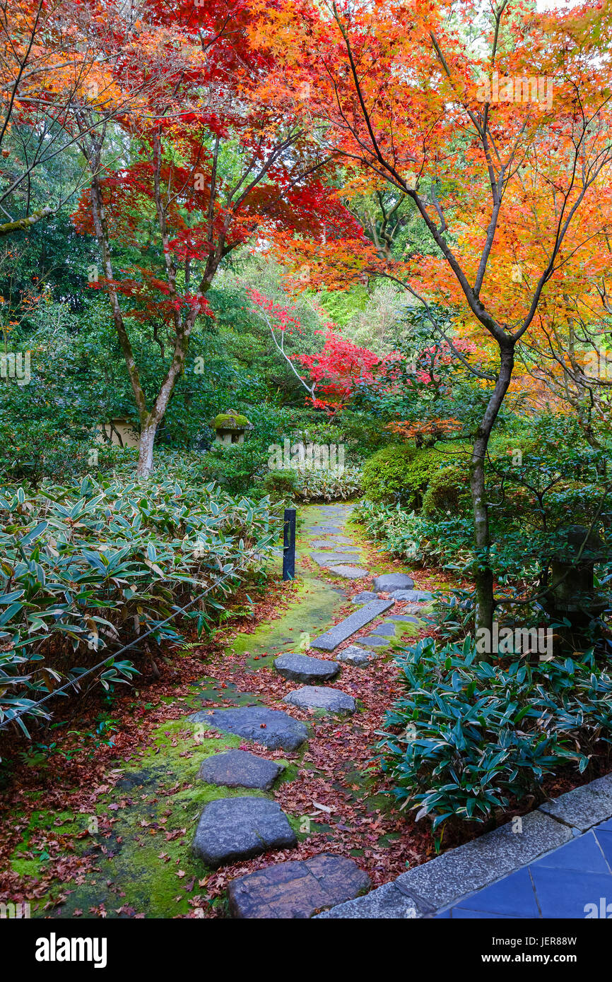 Colorful Autumn at Koto-in Temple in Kyoto Stock Photo - Alamy