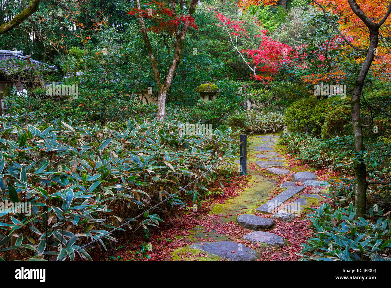 Colorful Autumn at Koto-in Temple in Kyoto Stock Photo - Alamy