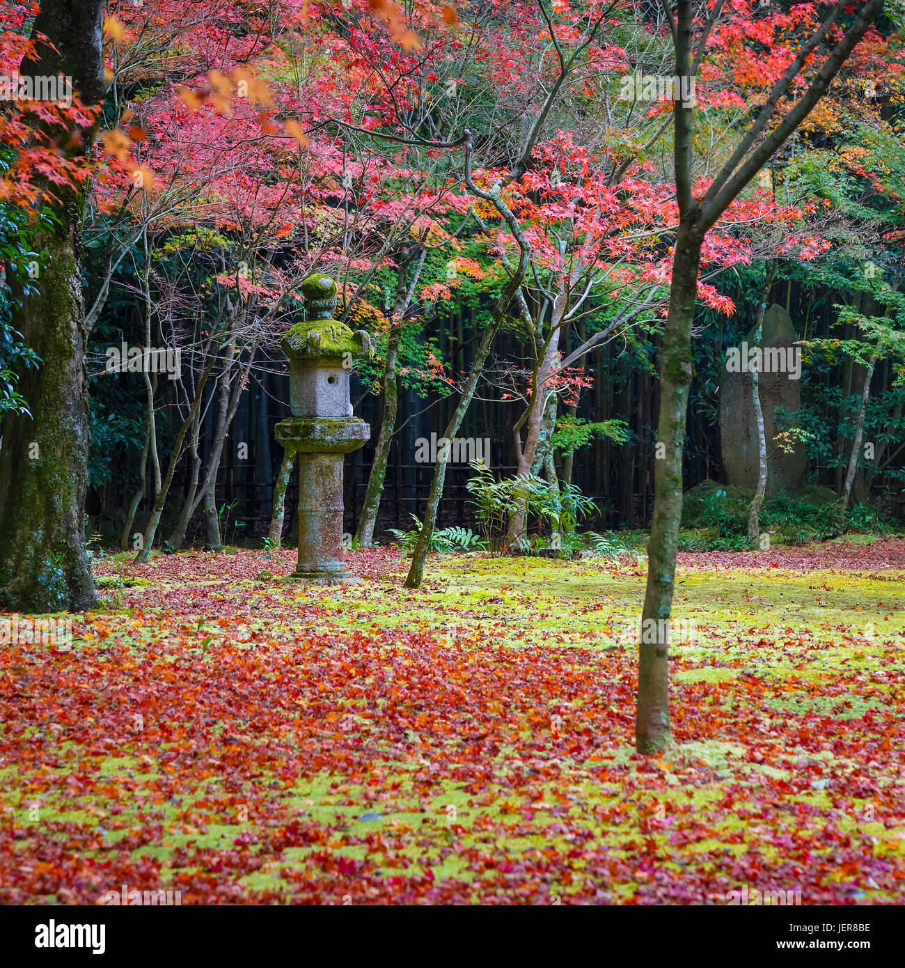 Colorful Autumn at Koto-in Temple in Kyoto Stock Photo - Alamy