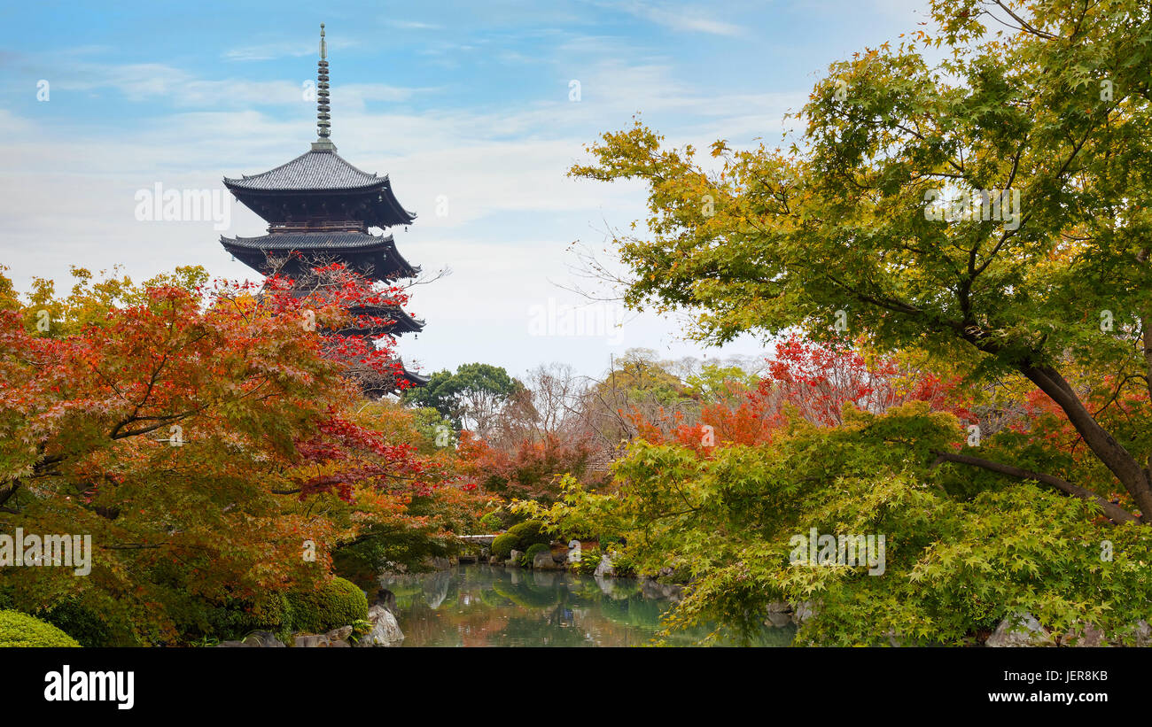 Autumn at Toji temple in Kyoto, Japan Stock Photo - Alamy