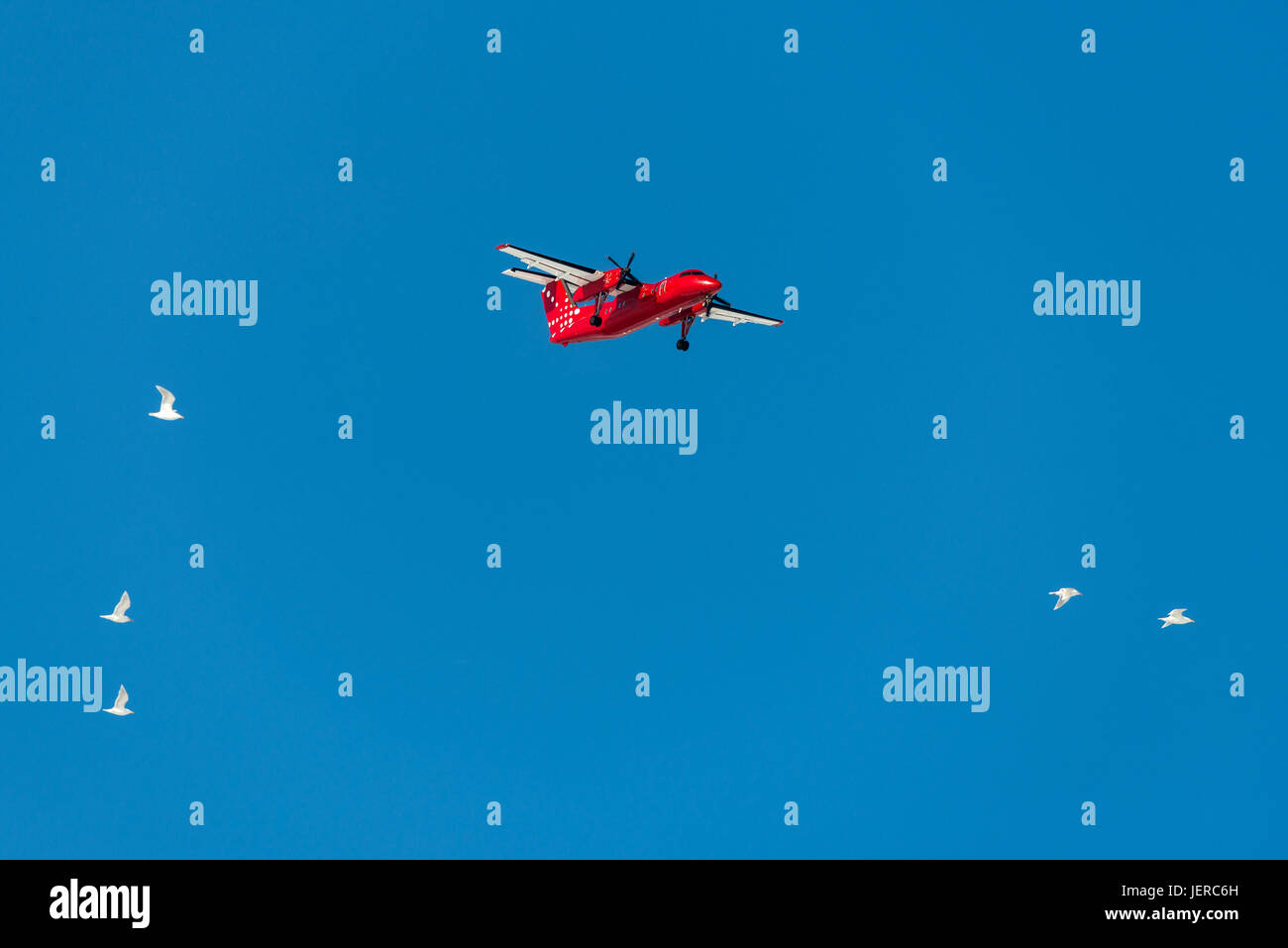 Red plane on blue sky Stock Photo - Alamy