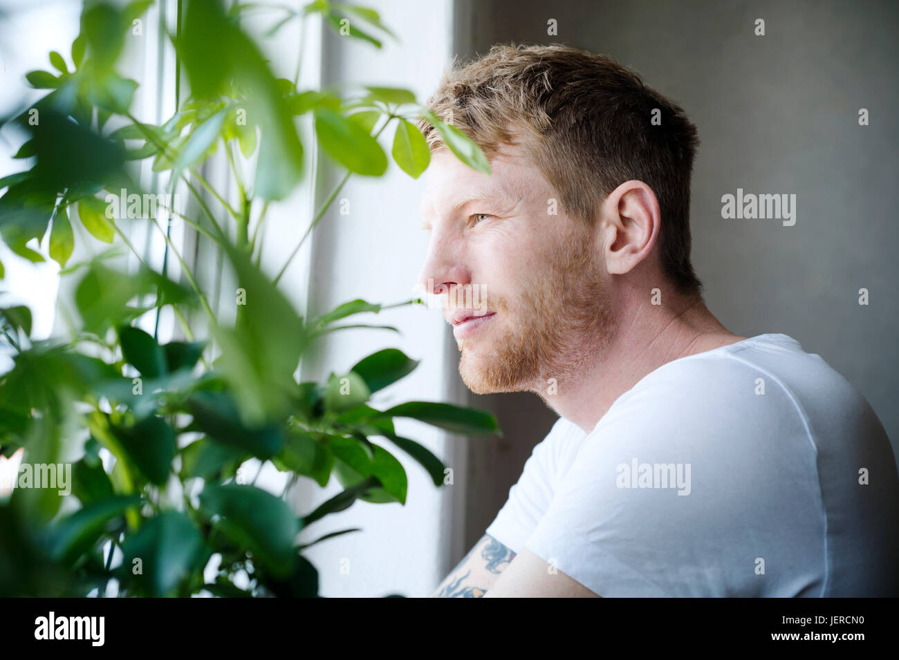 Man looking through window Stock Photo - Alamy