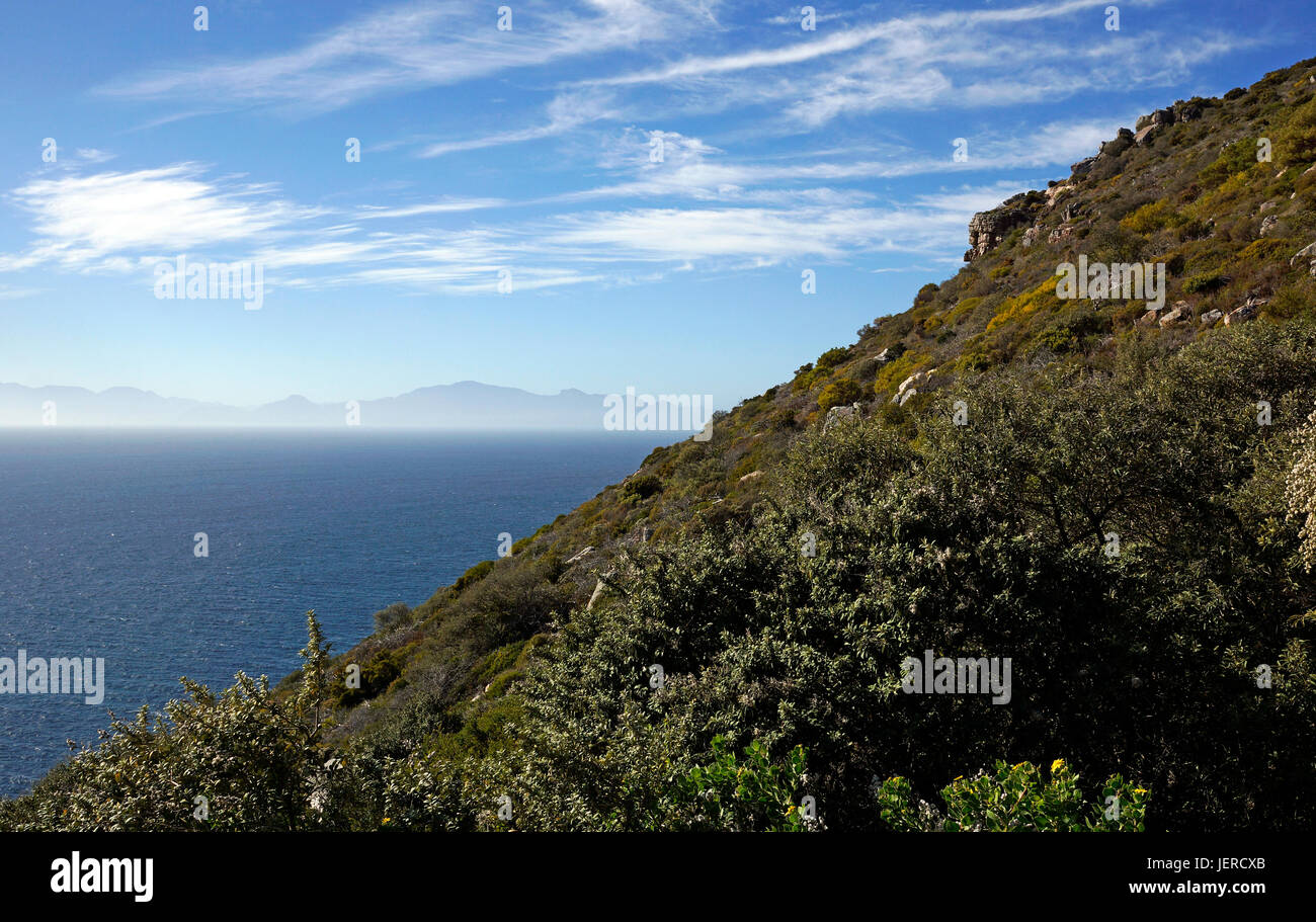 Cape of goodhope hi-res stock photography and images - Alamy