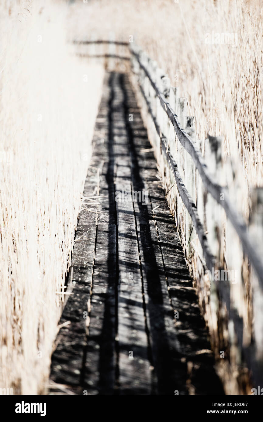 Wooden path through tall grass Stock Photo - Alamy