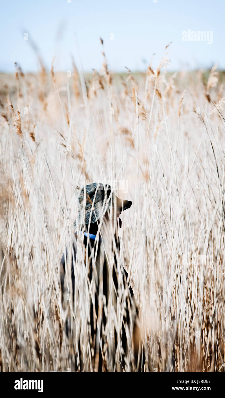 Person in tall grass Stock Photo - Alamy
