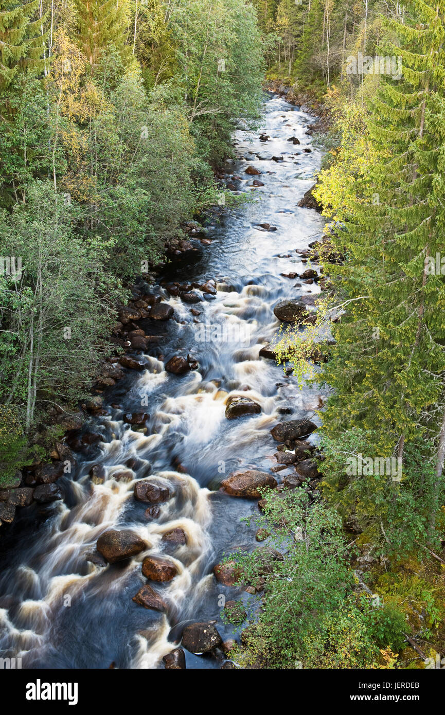Stream going through forest Stock Photo - Alamy
