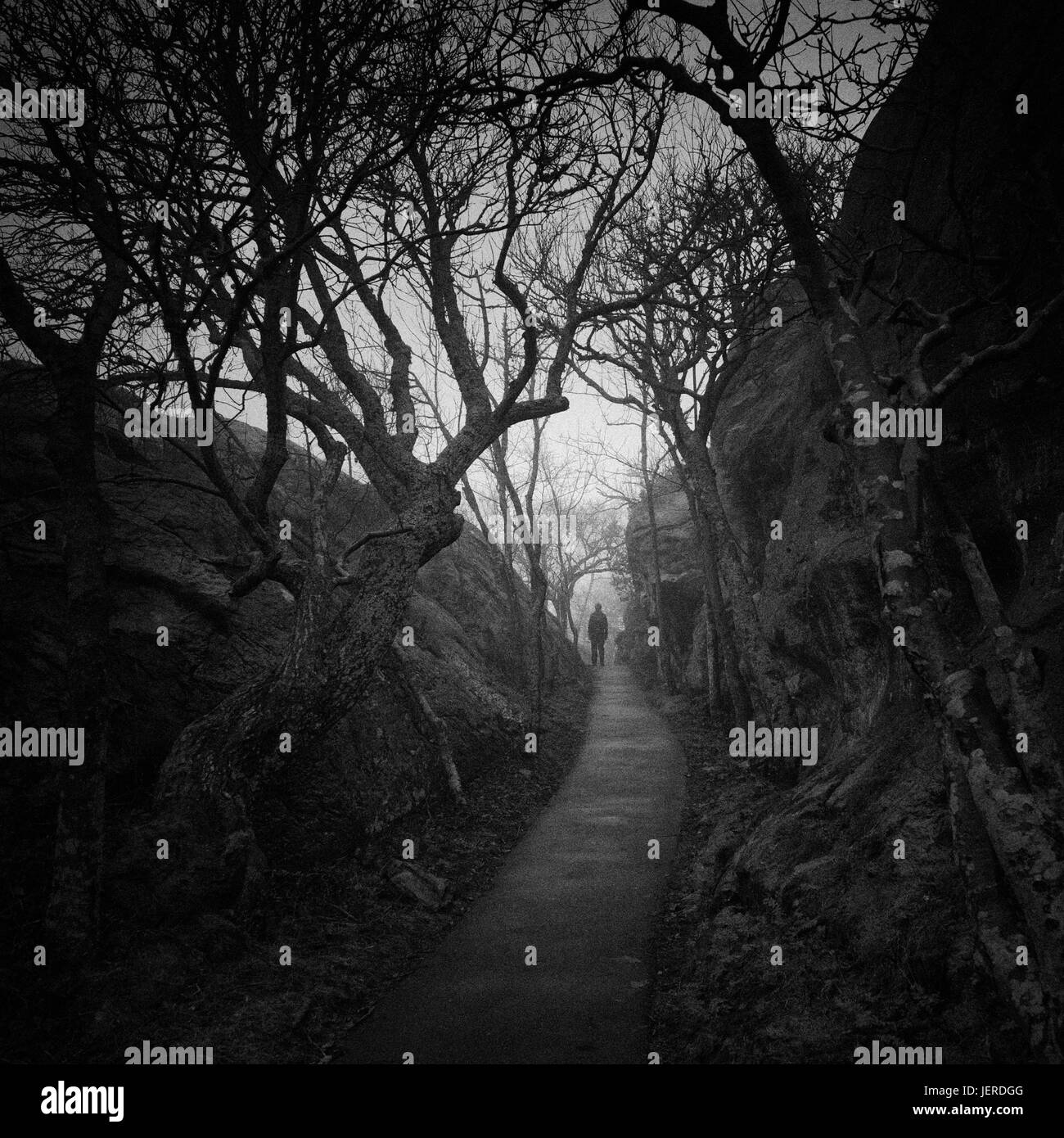 Hiking mountain forest woman Black and White Stock Photos & Images - Alamy