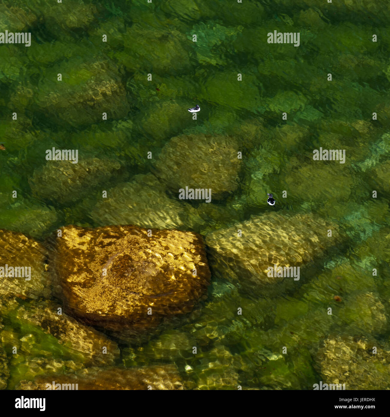 Rocks under water Stock Photo - Alamy