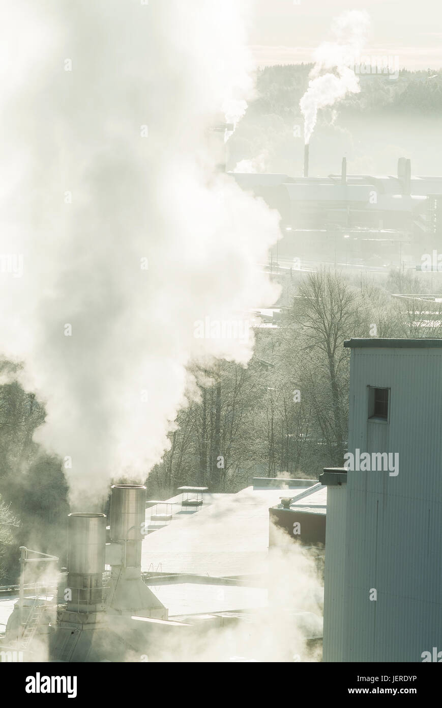 Leafless steam hi-res stock photography and images - Alamy