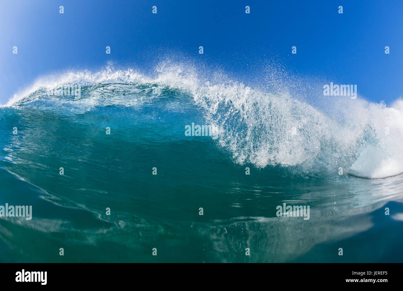 Inside the ocean hi-res stock photography and images - Alamy