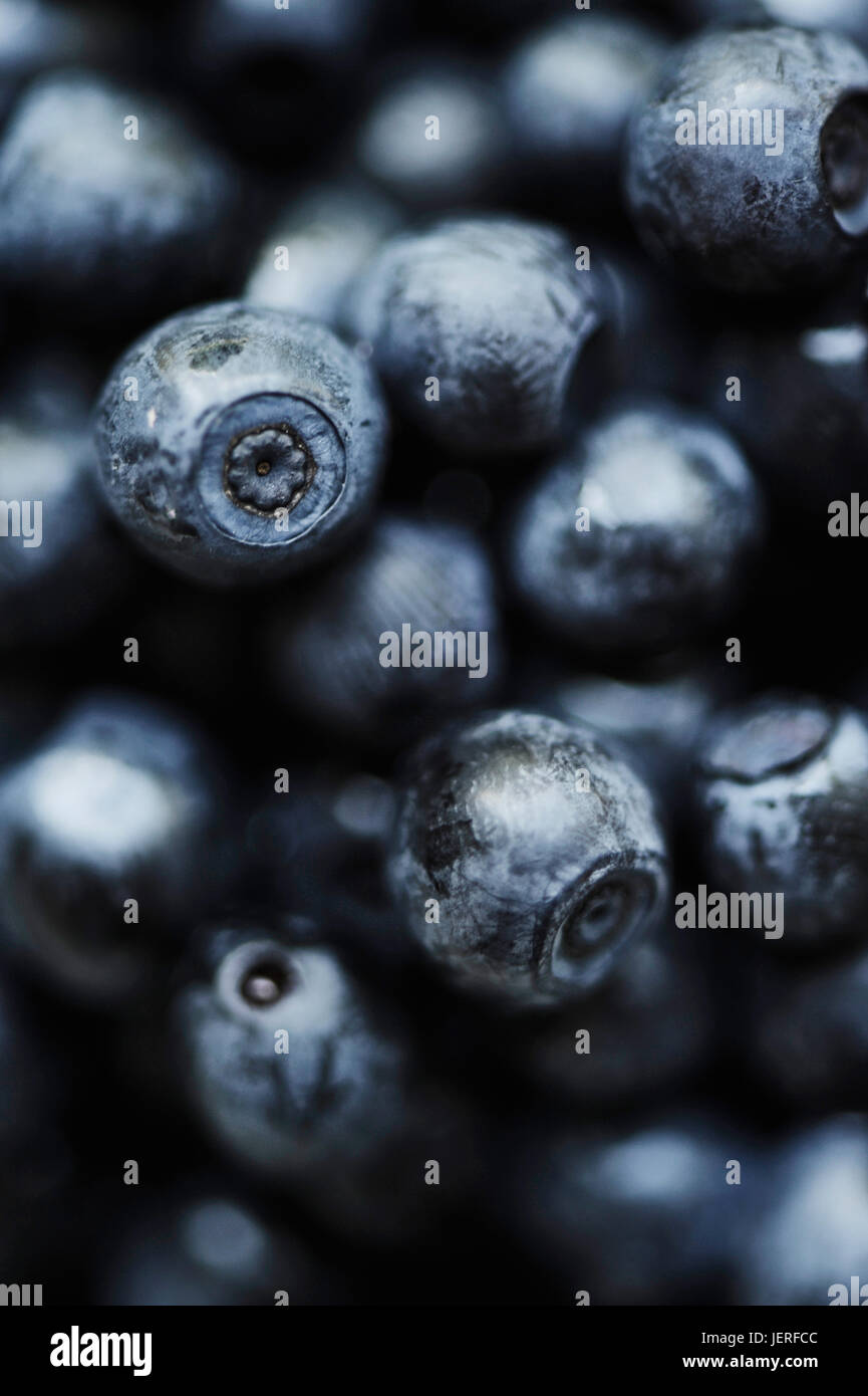 Numerous blueberries hi-res stock photography and images - Alamy