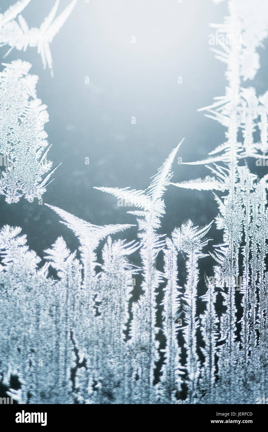 Stockholm frost hi-res stock photography and images - Alamy