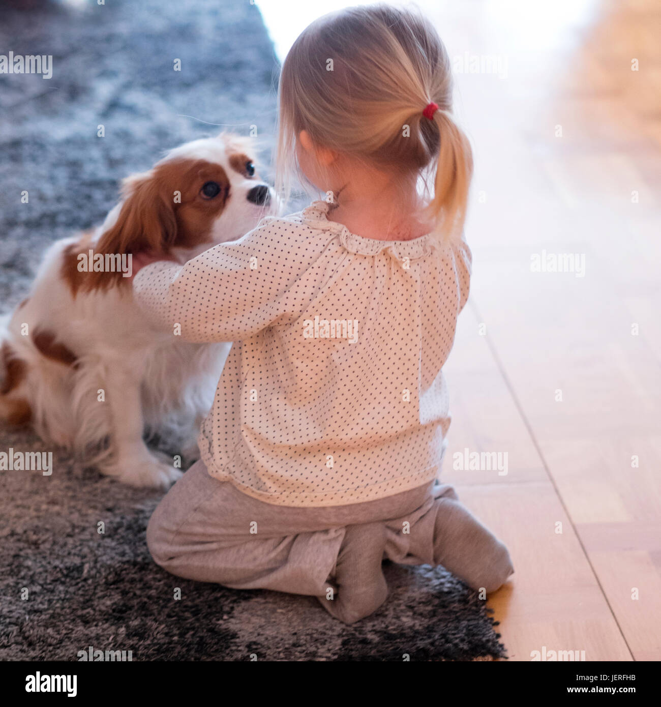 Together animals hi-res stock photography and images - Alamy
