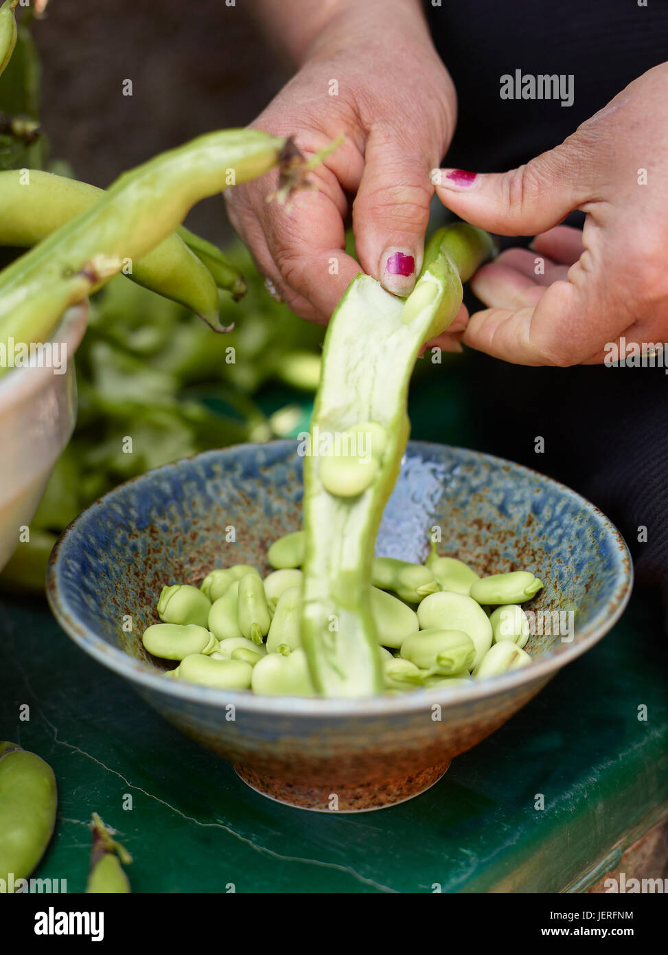 Hands shucking beans Stock Photo - Alamy