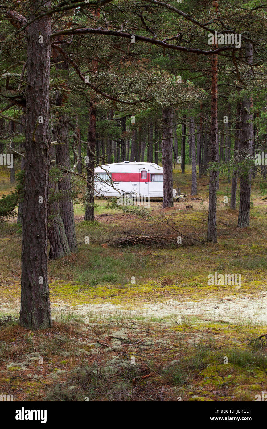 Caravan parked in forest Stock Photo - Alamy
