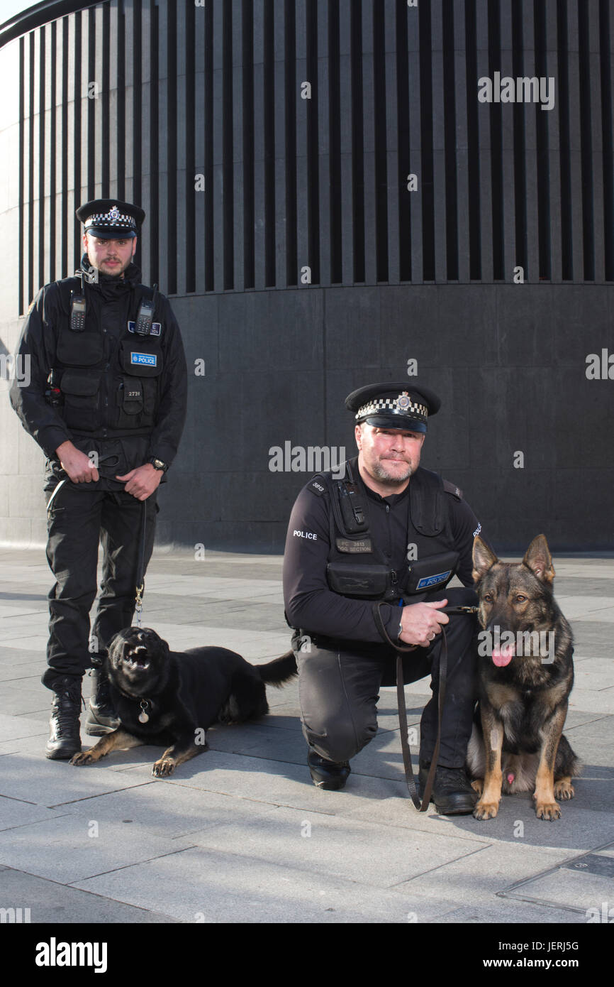 Ex Police Dog Unit at Rosie Halsey blog