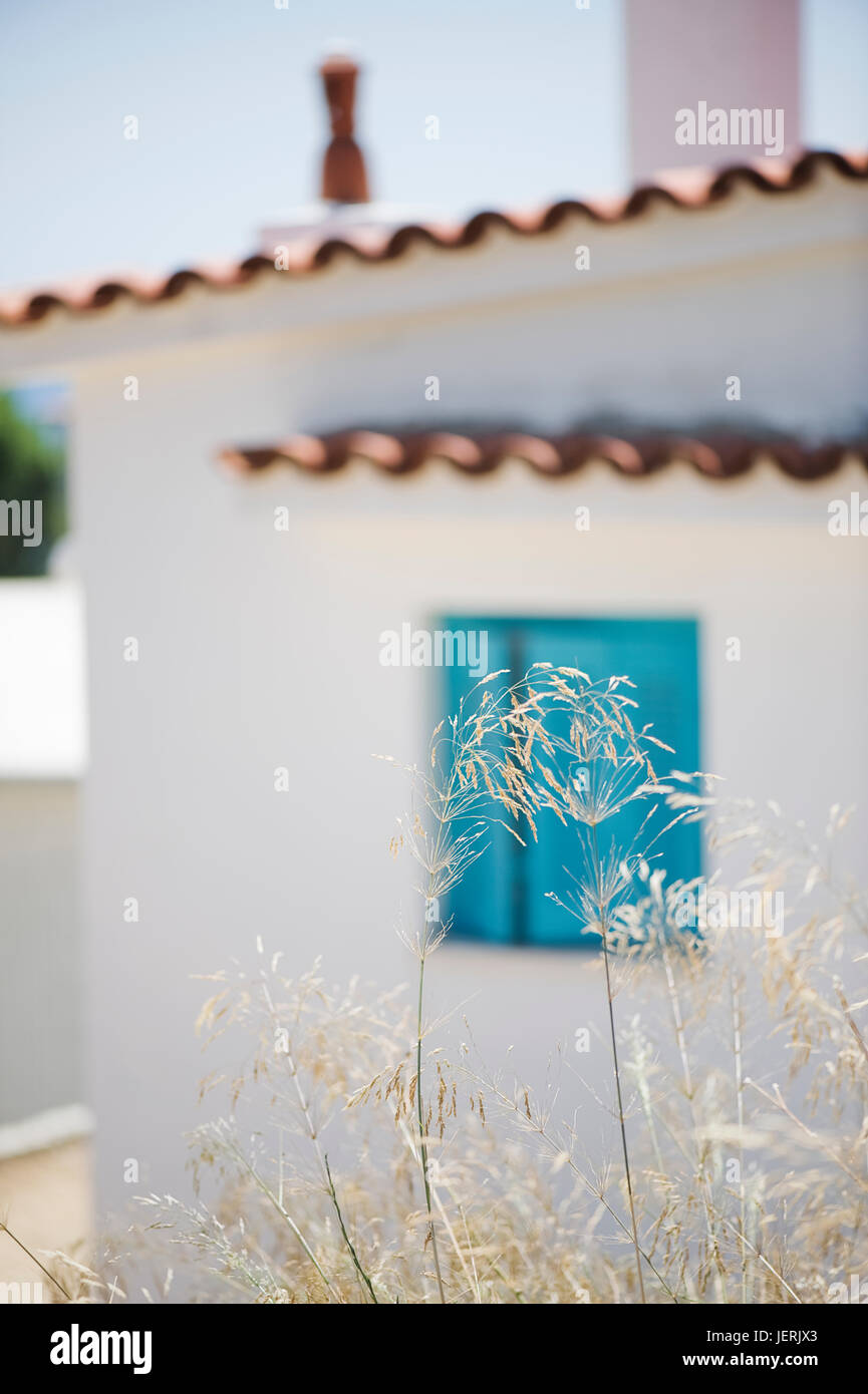 Grass, building on background Stock Photo - Alamy