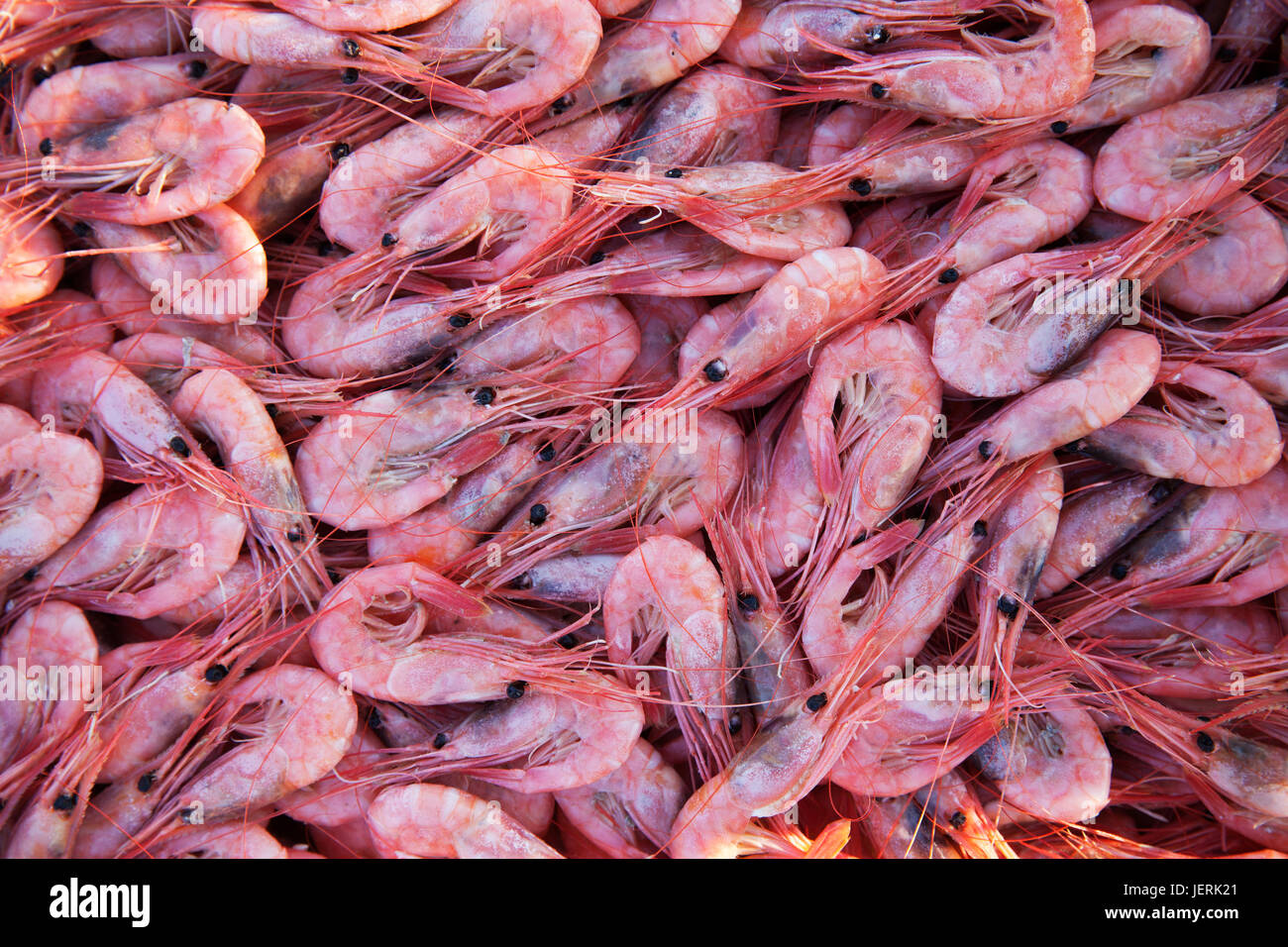 Pink prawns hi-res stock photography and images - Alamy